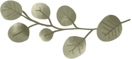 Nouran & Amr Wedding